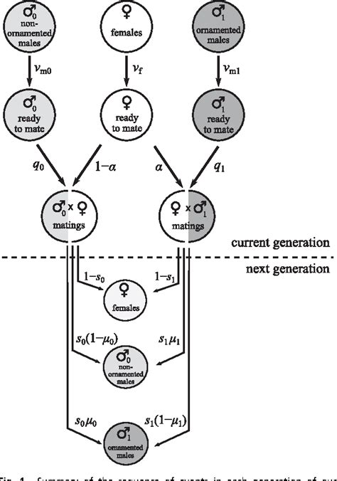 figure 1 from sex ratio control erodes sexual selection revealing evolutionary feedback from