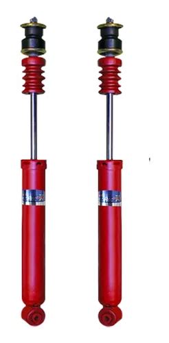 Kit 2 Amortiguadores Traseros Fric Rot
