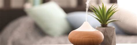 Comment parfumer naturellement son intérieur Lavande vraie Huile