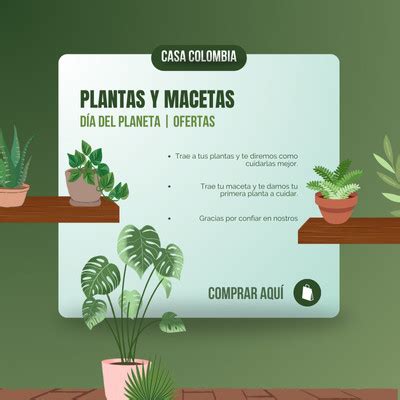 Plantillas Plantas Gratis Y Editables Canva