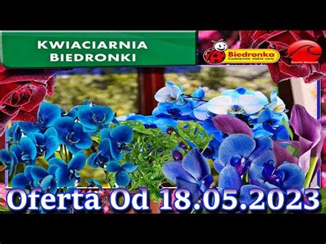 Biedronka Kwiaciarnia Biedronki Nowa Oferta Od Kwiatowe