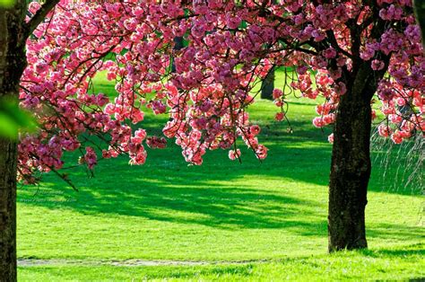 Fond D écran Printemps Grand Format Les plus belles photos par