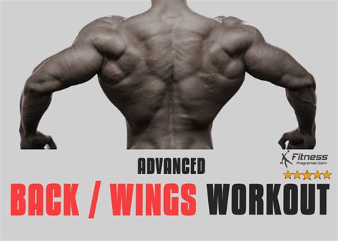 How To Ultimate Back Workout Back Workout Routine