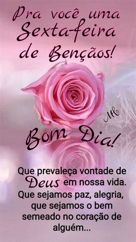 A Pink Rose With The Words In Spanish