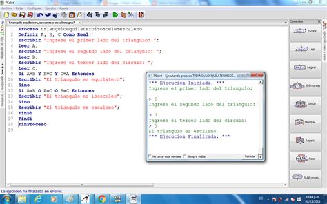 TAREAS REALIZADAS PSEINT