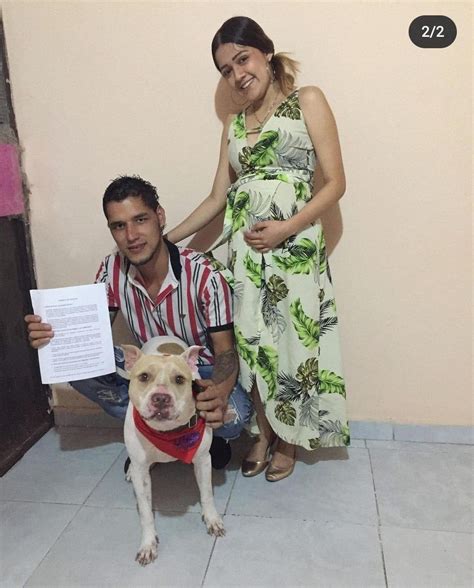 Marce Tabares on Twitter Si te dan en adopción un perro así primera