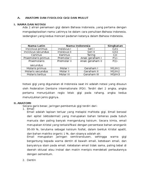 PDF Anatomi Dan Fisiologi Gigi UMP DOKUMEN TIPS