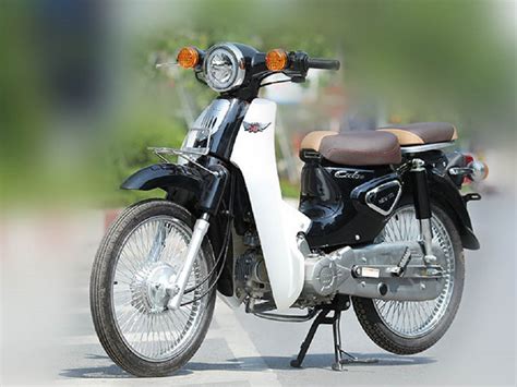 Cập nhật với hơn 79 về xe cub 81 honda mới nhất coedo vn
