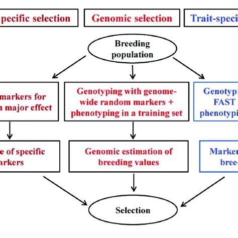 capturing genes of major and minor effects for a quantitative trait download scientific