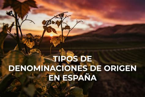 Principales Denominaciones De Origen Del Vino En Espa A