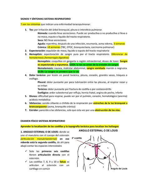 Examen Fisico Pulmonar Semiologia Clearance Innoem Eng Psu Ac Th