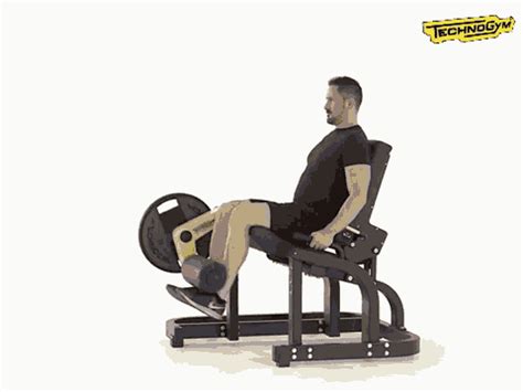 Leg Extension Machine Leg Extension Machine Discover Share Gifs