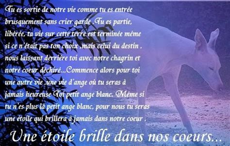 Poeme Deces Frere Hommage Un Fr Re D C D Stjboon
