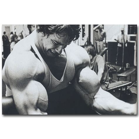 Arnold Schwarzenegger Bodybuilding Silk Poster Fitness Motivational