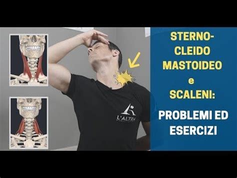 Nervo Vago La Chiave Per Migliorare Molti Sintomi E Disturbi Artofit