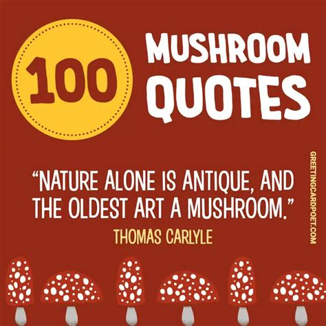 117 Best Wedding Quotes For The Happy Couple