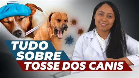 Entenda Tudo Sobre Tosse Dos Canis YouTube