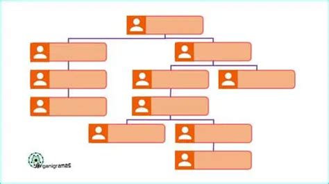 Plantillas De Organigramas Para Empresas 2024 GRATIS