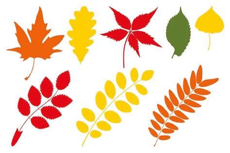 Premium Vector Leaf Silhouettes Set Of Autumn Leaves