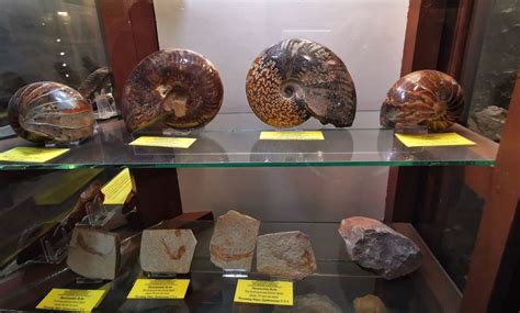 Muzeum Minerałów Szklarska Poręba Szlakowe Inspiracje