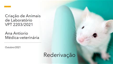 Abschnitt Aula 5 Sanidade dos Animais de Laboratório VPT2203