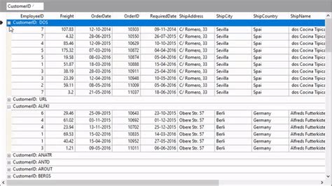 True Dbgrid For Winforms