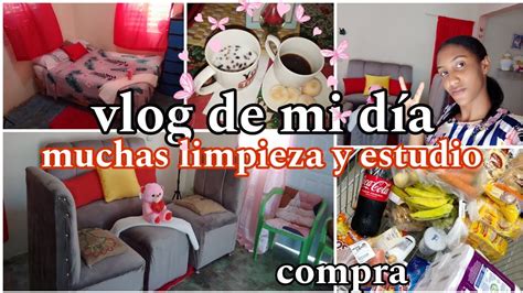Vlog DE LIMPIEZA EXTREMA COMPRA DE DESPENSA Mi Día Productivo
