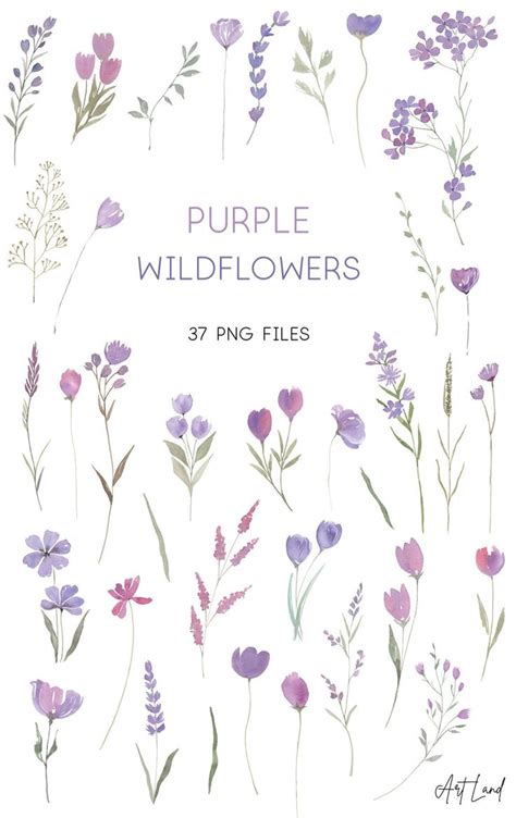 Watercolor Purple Wildflowers Clipart Botanical Floral Wild Flowers