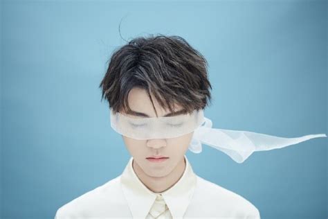 王俊凯19岁生日会唯美写真曝光白纱蒙眼五官精致如画中人