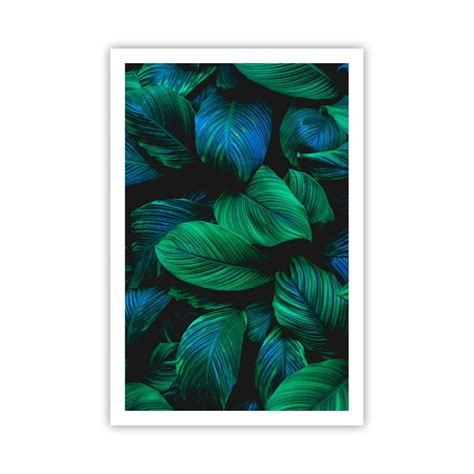 Obraz Plakat W zielonym tłumie 61x91cm Zielone Liście Roślina