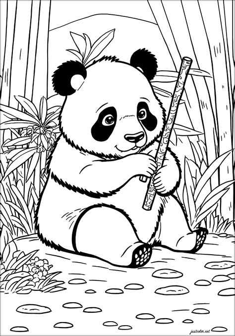 Dibujos Para Colorear De Oso Panda Todopanda Fun