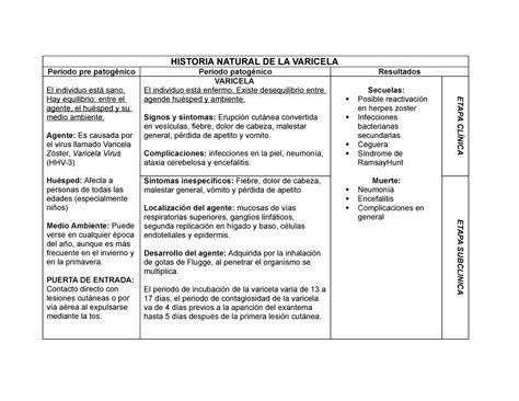 Historia Natural De La Enfermedad Antes De La Enfermedad Varicela Se