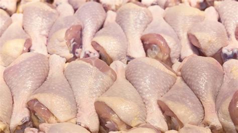 Reasons To Start Frozen Chicken Business In Nigeria Wealth Result