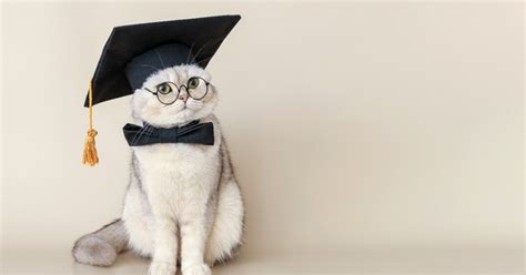 Cest Lheure Du Quiz De LActu Articles Les As De L Info