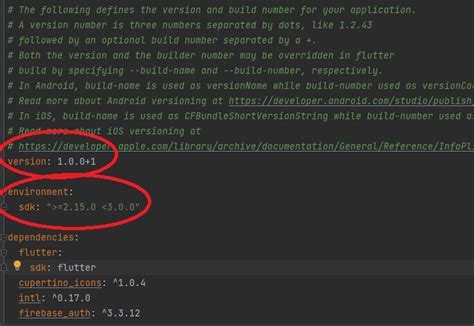 Flutter How Do I Know The Latest Version Of Dart Environment Sdk Stack Overflow