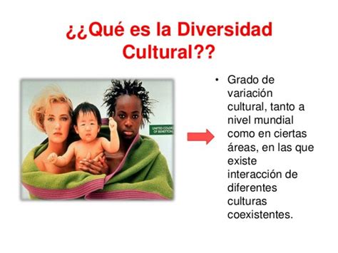 Cuadros sinópticos diferencias y similitudes entre diversidad