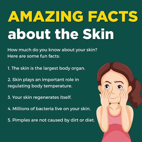 Amazing Facts About The Skin CarepointPharmacy AmazingFacts Fun