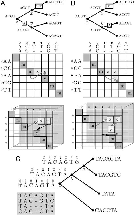 an algorithm for progressive multiple alignment of sequences with insertions pnas