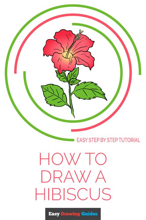 How To Draw A Hibiscus Really Easy Drawing Tutorial