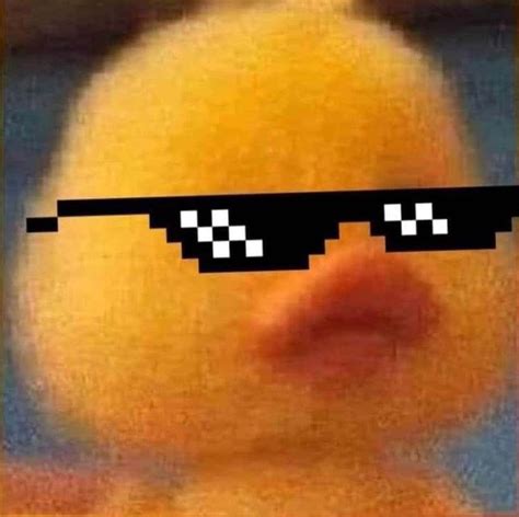 100 Cool Discord Profile Pictures Wallpapers