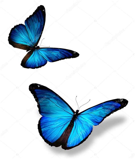 Flying Blue Butterfly