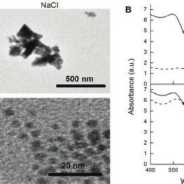Colloidal Stability Of Naked Nps And Nps With A Bsa Protein Corona