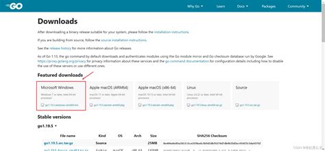 windows下配置golang开发环境，并安装配置goland ide windows安装golang ide csdn博客