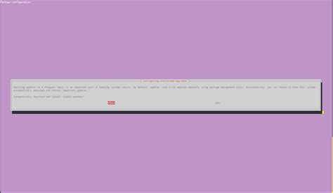 Ubuntu Unattended Upgrades Chhanz