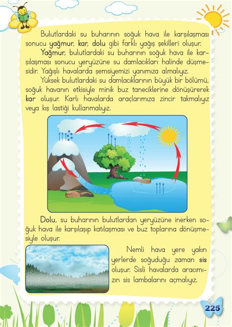 2 Sınıf Hayat Bilgisi Meb Yayınları Sayfa 225 Cevapları