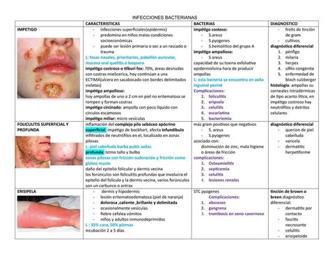 Cuadro Infecciones Bacterianas Natalia Carolina Paz Rojas UDocz