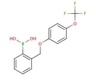 2 4 Trifluoromethoxy Phenoxy Methyl Phenylboronic Acid CAS 849062