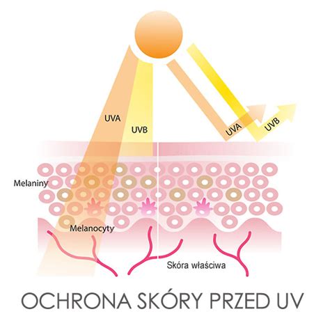 Promieniowanie UV definicja rodzaje UVA UVB UVC Wpływ UV na skórę