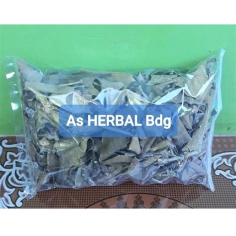 Jual Benalu Teh Kering 500 Gram Herbal Kanker Asli Shopee Indonesia