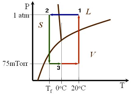 6 Phase Diagram Of The Freeze Drying Process Harley Et Al 2005